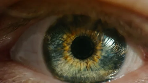 Human eye close up. Green male eye | Stock Video | Pond5