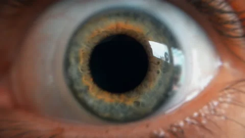 Human Eye Iris Opening Pupil Extreme Clo... | Stock Video | Pond5