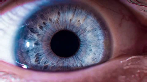Human Eye Pupil Contracting Extreme Clos... | Stock Video | Pond5