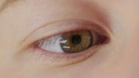 Contraction Stock Footage ~ Royalty Free Stock Videos | Pond5