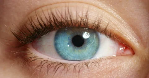 Human eye, vision and dilated pupils of ... | Stock Video | Pond5