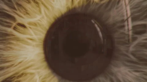 Zoom Into Eye Pupil Stock Videos – Royalty-Free HD & 4K Videos | Pond5