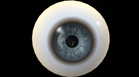 Eyeball Anatomy Stock Footage ~ Royalty Free Stock Videos | Pond5