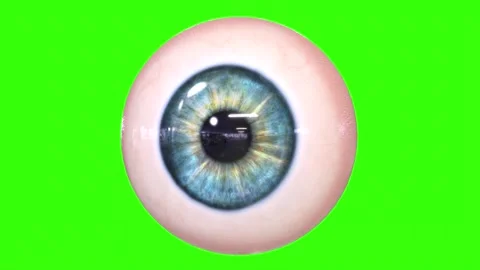 Human eyeball isolated on green screen | Stock Video | Pond5