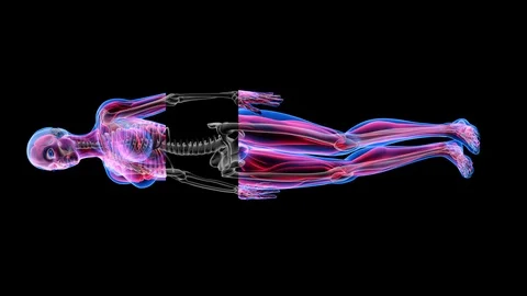 Science Animation Stock Videos – Royalty-Free HD & 4K Videos