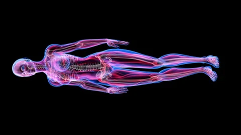 Science Animation Stock Video Footage | Royalty Free Science Animation ...