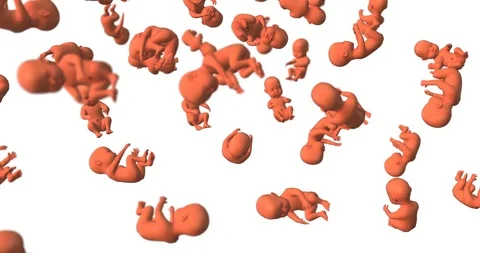 human fetus falling loop | Stock Video | Pond5