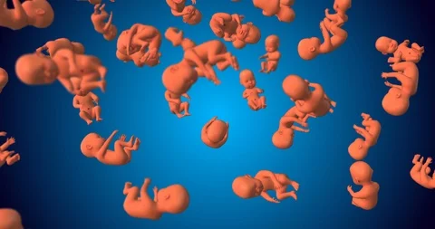 human fetus falling loop | Stock Video | Pond5