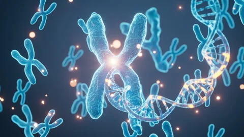 Human genes and chromosomes, 3d renderin... | Stock Video | Pond5