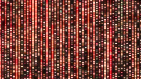 Genomic Sequencing Stock Footage ~ Royalty Free Stock Videos | Pond5