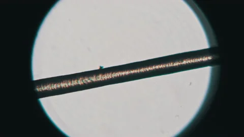 Human Hair Under a Microscope | Stock Video | Pond5