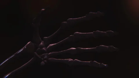 Human Hand Anatomy. Complete Build Up. 3... | Stock Video | Pond5