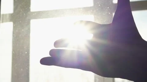 Human hand on background of sun. Backlig... | Stock Video | Pond5