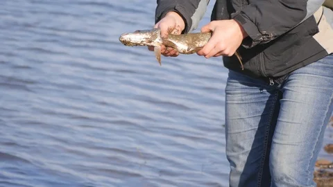 Cound Second Stock Videos – Royalty-Free HD & 4K Videos | Pond5