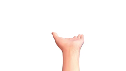 Human hand rotating isolated on white ba... | Stock Video | Pond5