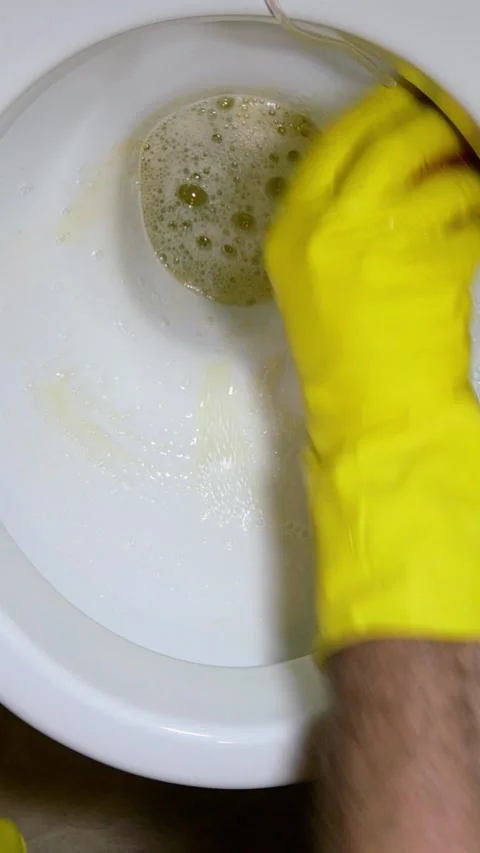 Human Toilet Videos Stock Videos – Royalty-Free HD & 4K Videos