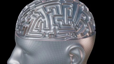 Human head with maze pattern. 3d animati... | Stock Video | Pond5