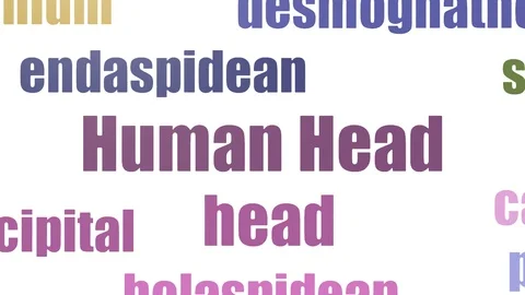 Human Head Word Cloud Animated Isolated ... | Stock Video | Pond5