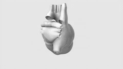 Human heart 3D low poly, 360 rotation, t... | Stock Video | Pond5