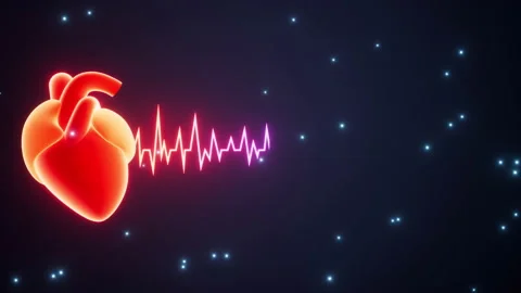 Human heart beat rate line and cardiogra... | Stock Video | Pond5