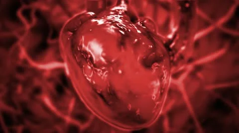 Human heart beating (loop) | Stock Video | Pond5