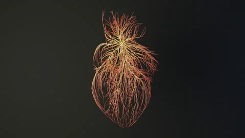 Human heart made out of lines, unrolling... | Stock Video | Pond5