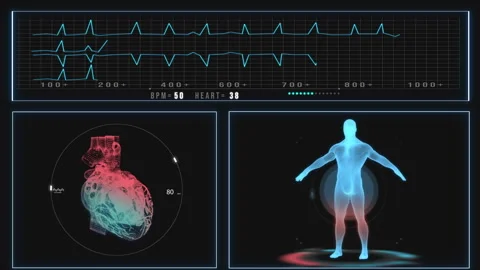Human heart scan animation. Heart anatom... | Stock Video | Pond5