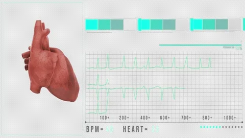 Human heart scan animation. Heart anatom... | Stock Video | Pond5