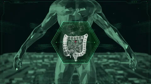 Human Intestines HUD UI Background | Stock Video | Pond5