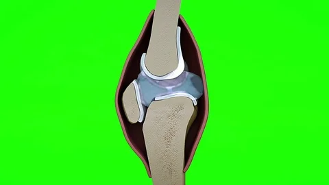 Osteoporosis Background Stock Footage ~ Royalty Free Stock Videos | Pond5