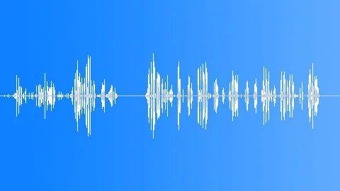 Human, Laugh Giggling / Squealing: Child ~ Stock Sound #168026450