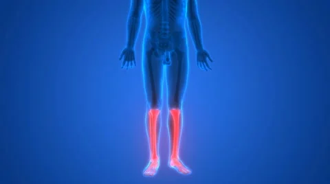 K Leg Foot Stock Videos – Royalty-Free HD & 4K Videos | Pond5