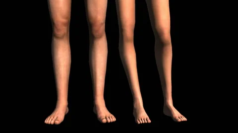 Animated Human Legs Stock Footage ~ Royalty Free Stock Videos | Pond5