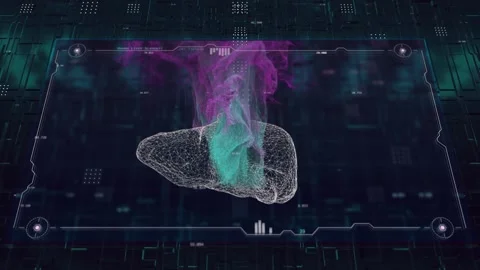 Human Liver HUD Animation | Stock Video | Pond5