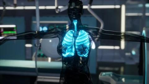 Human Lungs Radiology Exam in Laboratory | Stock Video | Pond5