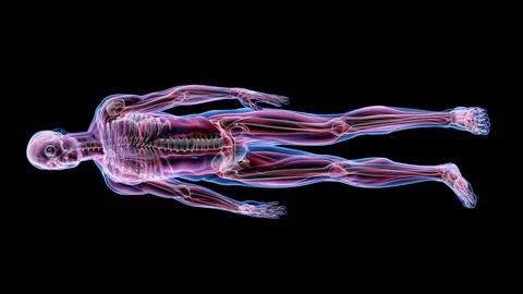 Science Animation Stock Videos – Royalty-Free HD & 4K Videos