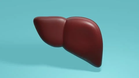 Liver Animation Stock Video Footage | Royalty Free Liver Animation ...