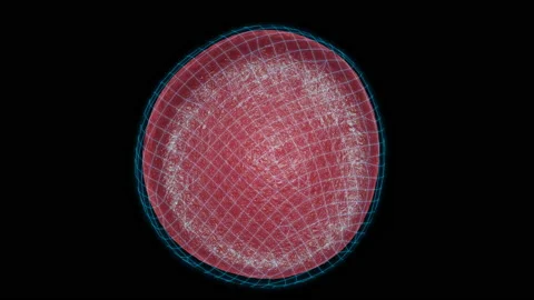 Human red blood cell rotating, animation | Stock Video | Pond5