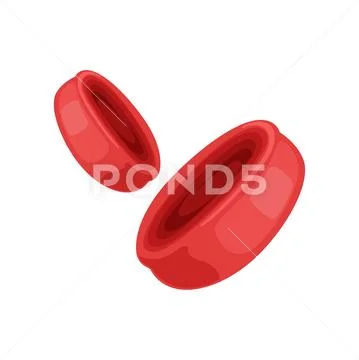 Human s red blood cells under microscope. Normal erythrocytes concept ...