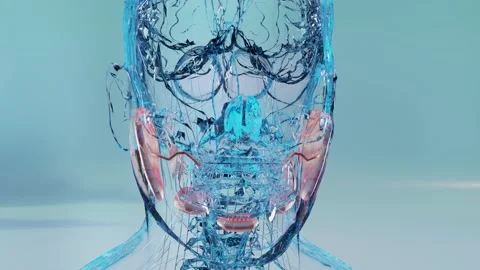 human salivary glands anatomy, sublingua... | Stock Video | Pond5