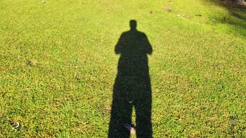 Green Hill Human Stock Videos – Royalty-Free HD & 4K Videos