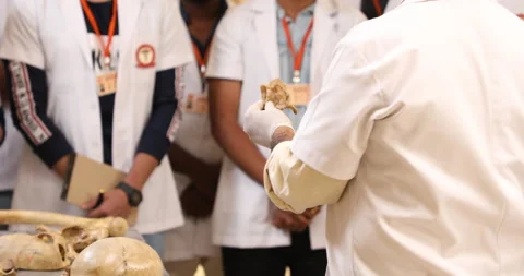 Human Skeleton From Anatomy Lab In Hospi... | Stock Video | Pond5