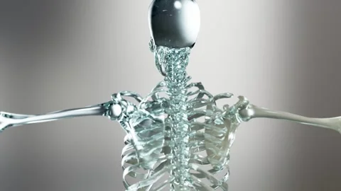 Human Skeleton Anatomy, skeletal system,... | Stock Video | Pond5