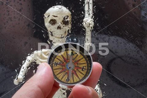 Photograph: Human skeleton model behind compass. Medical anatomy ...