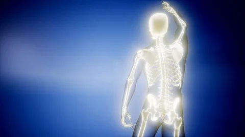 human skeleton radiography medical scan | Stock Video | Pond5