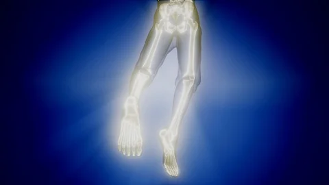 human skeleton radiography medical scan | Stock Video | Pond5