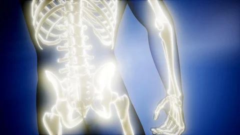 human skeleton radiography medical scan | Stock Video | Pond5