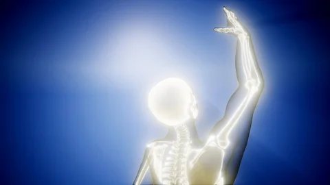 human skeleton radiography medical scan | Stock Video | Pond5