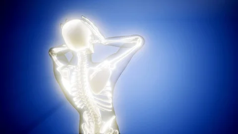 human skeleton radiography medical scan | Stock Video | Pond5