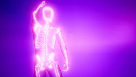 human skeleton radiography medical scan | Stock Video | Pond5